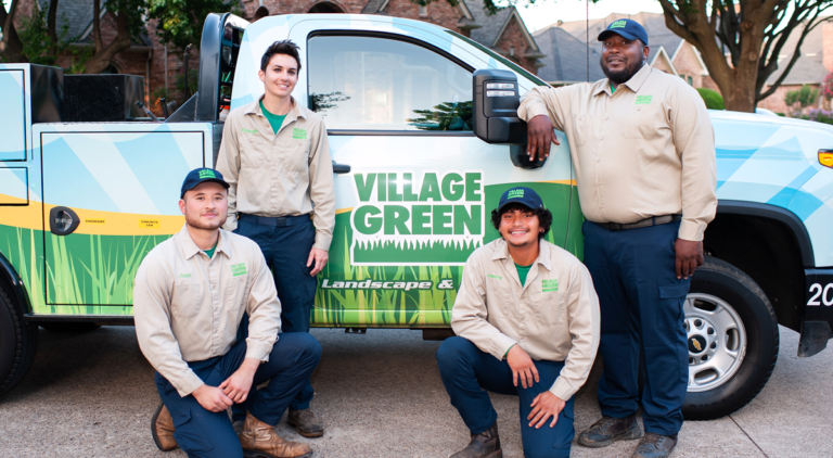 Moss Rock Landscape Borders – Village Green Lawn and Pest