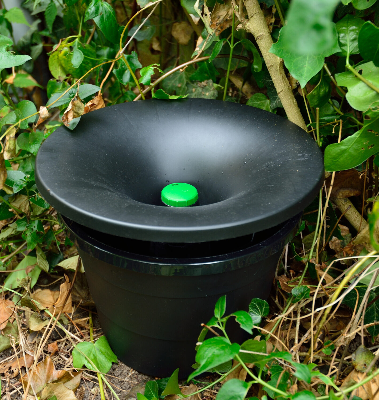 Mosquito Control – Village Green Lawn and Pest